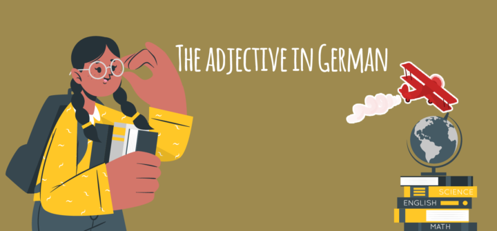 The adjective in German - Elblogdeidiomas.es Elblogdeidiomas.es