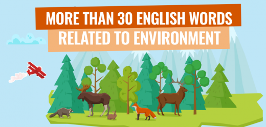 More than 30 English words related to the environment
