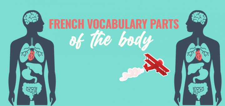 French vocabulary parts of the body - Elblogdeidiomas.es