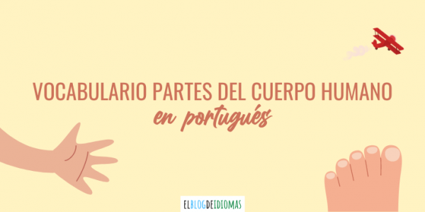 VOCABULARIO PARTES DEL CUERPO HUMANO - Elblogdeidiomas.es